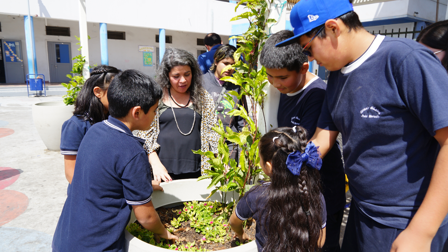 Fondo ambiental de El Abra implementará áreas verdes en escuela de ...