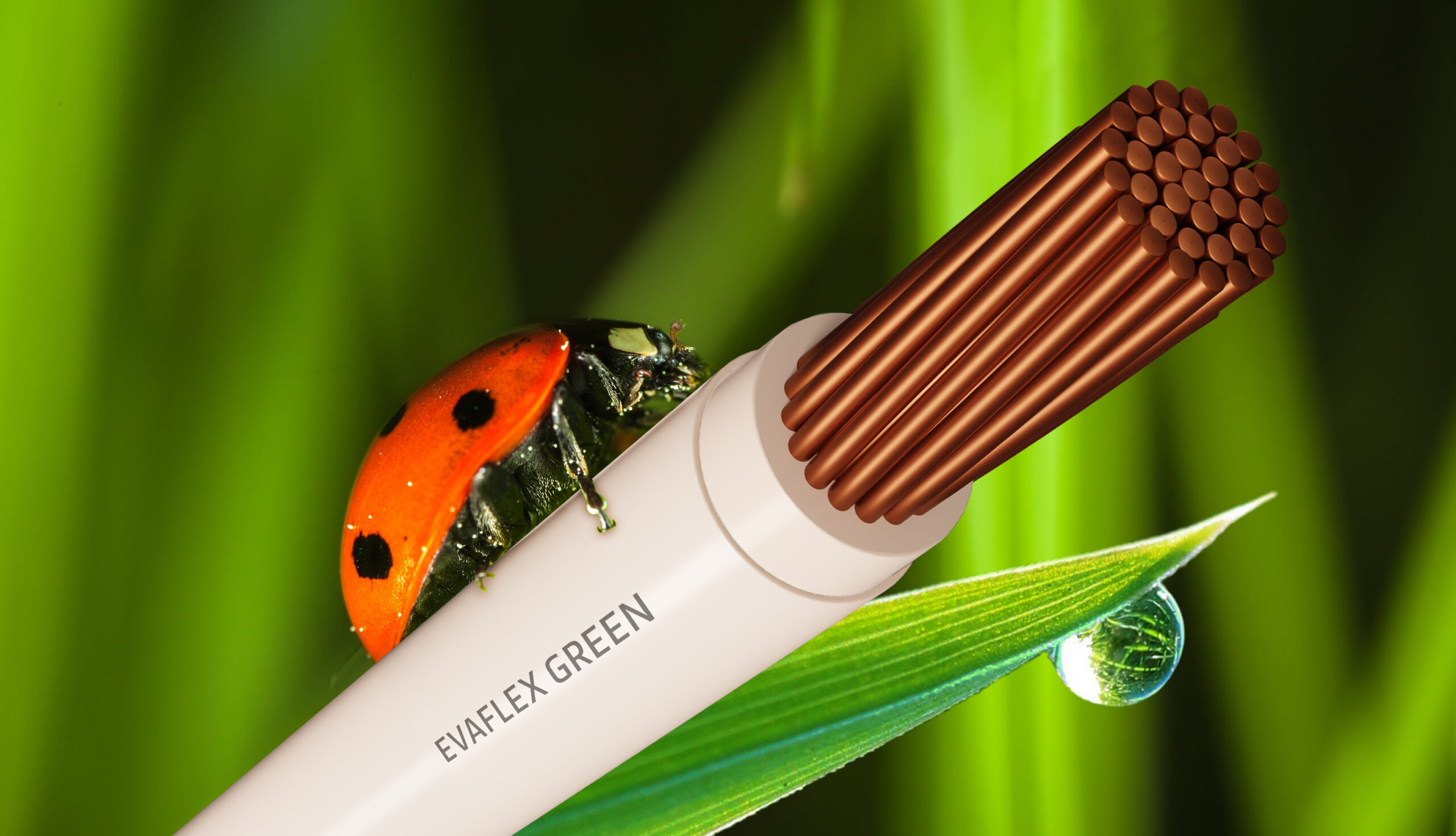 Prysmian Cocesa presenta cable ecológico para la construcción - Mch