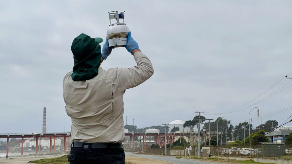 Superintendenta Plumer designa a nueva jefa regional de la SMA en ...